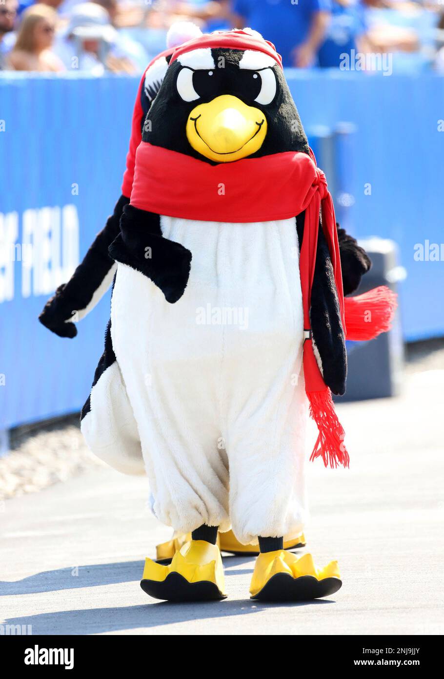 LEXINGTON, KY - SEPTEMBER 17: Youngstown State Penguins mascot Pete the ...