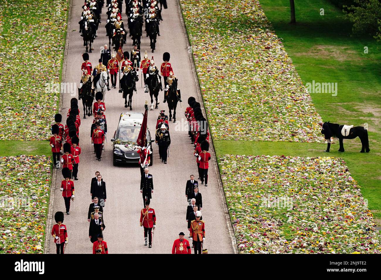 Emma, the monarch's fell pony, right, stands as the Ceremonial ...
