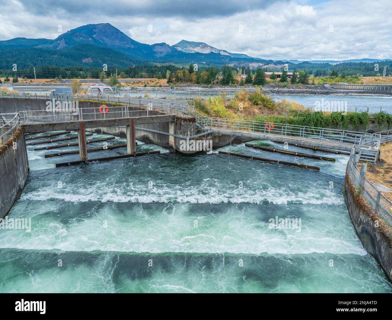 Fish ladders, Bonneville Dam, Columbia River Gorge National Scenic Area ...