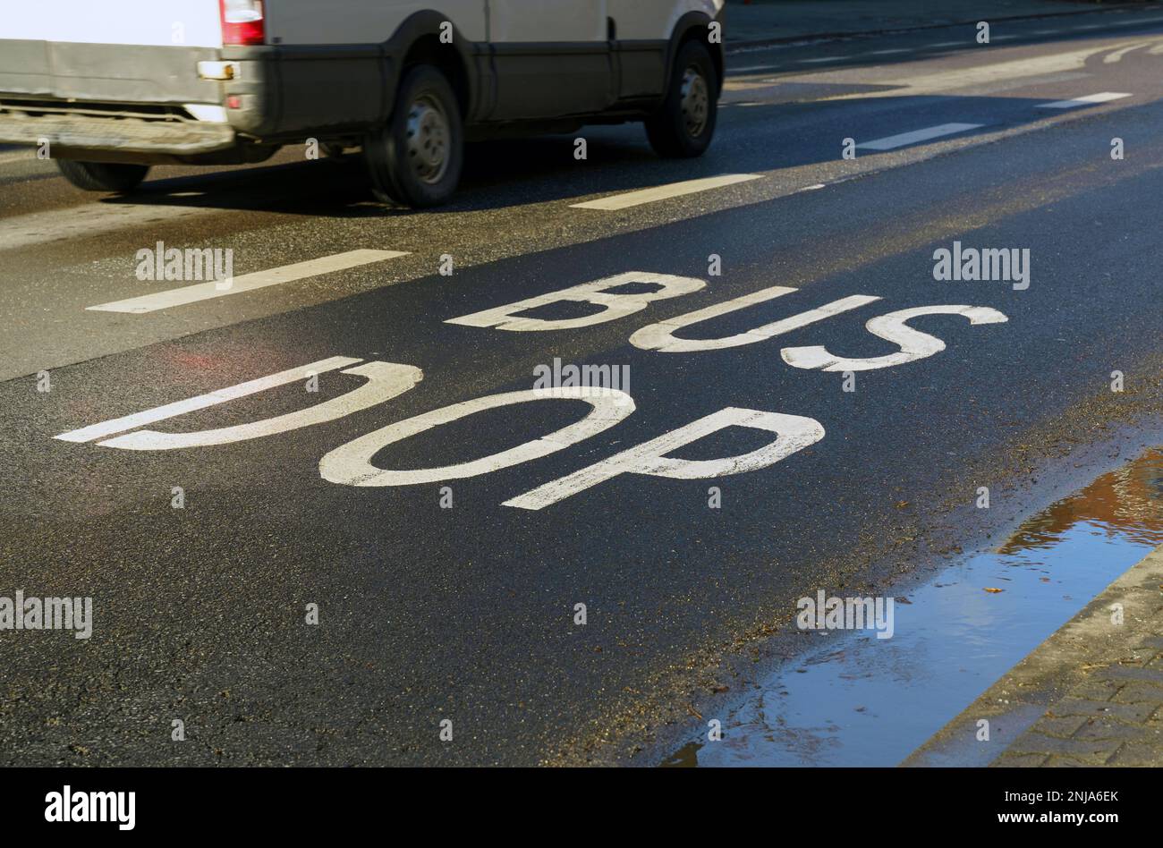 Dedicated for public transport lane on the road with the inscription ...