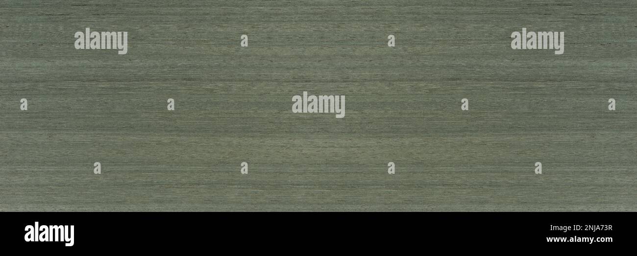 Texture of green wood. The texture of koto wood with a greenish tint ...