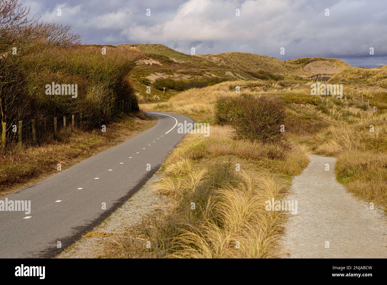 Bicycle and walking path on the dunes at the North Sea shore, Katwijk ...