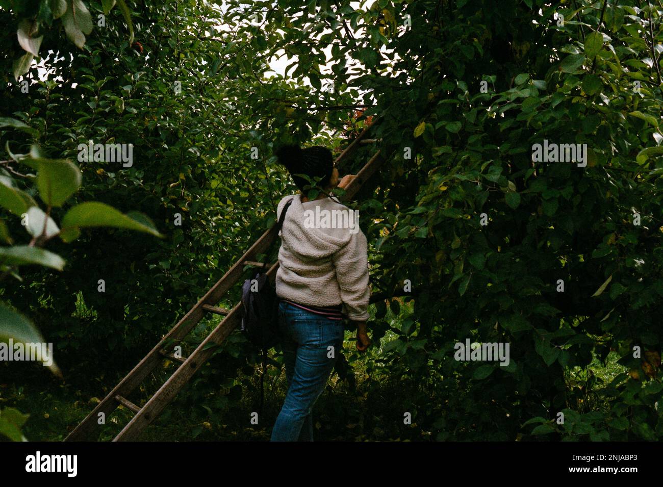 Self service farm stand hi-res stock photography and images - Alamy