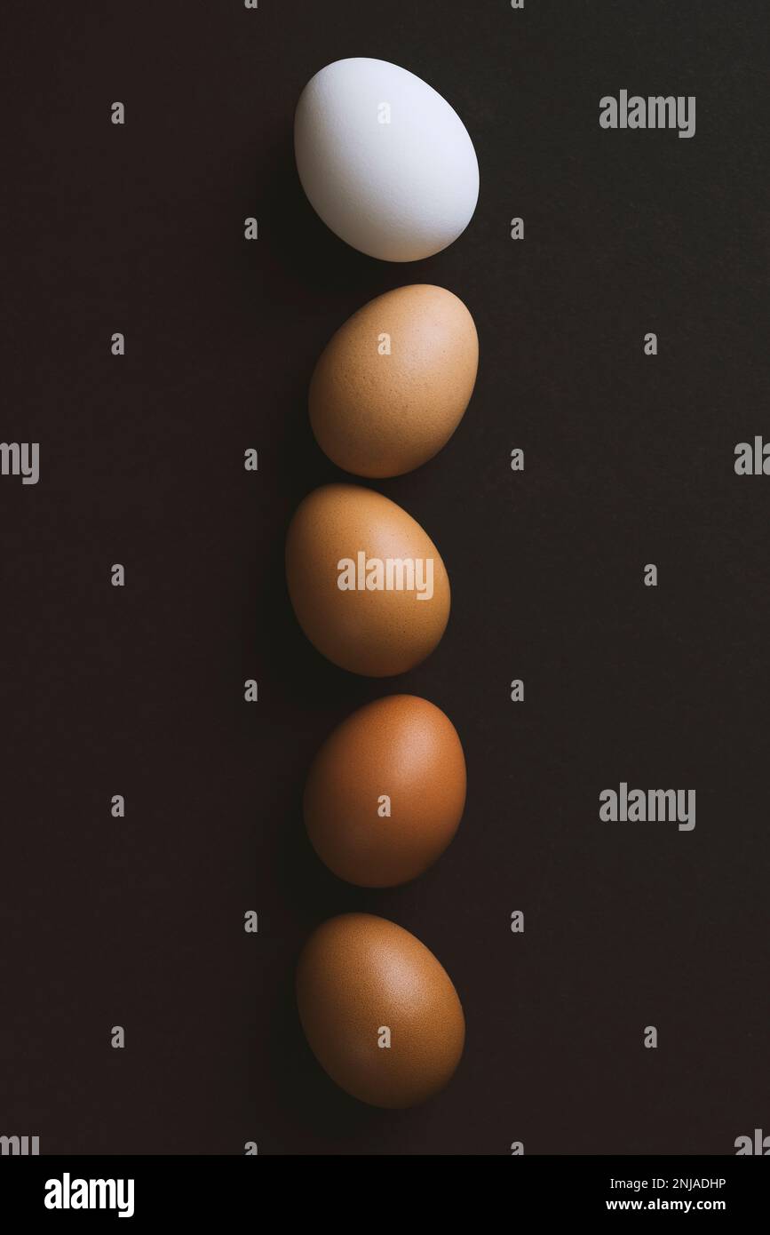 Color gradient from white to brown eggs in a row on black background ...