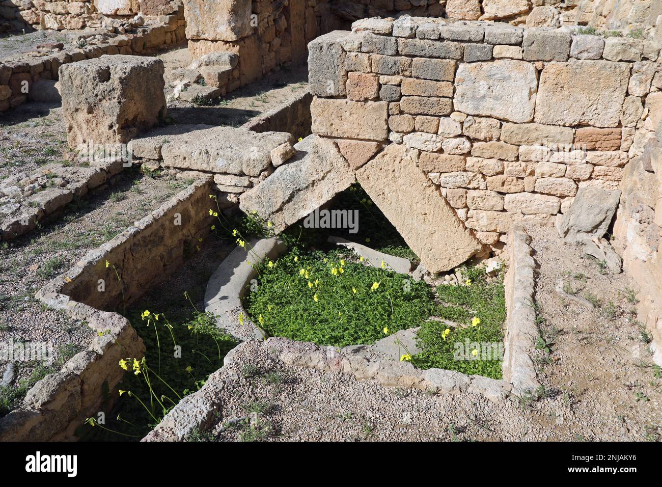 Ancient Phoenician Buildings Phoenician Architecture Hi Res Stock