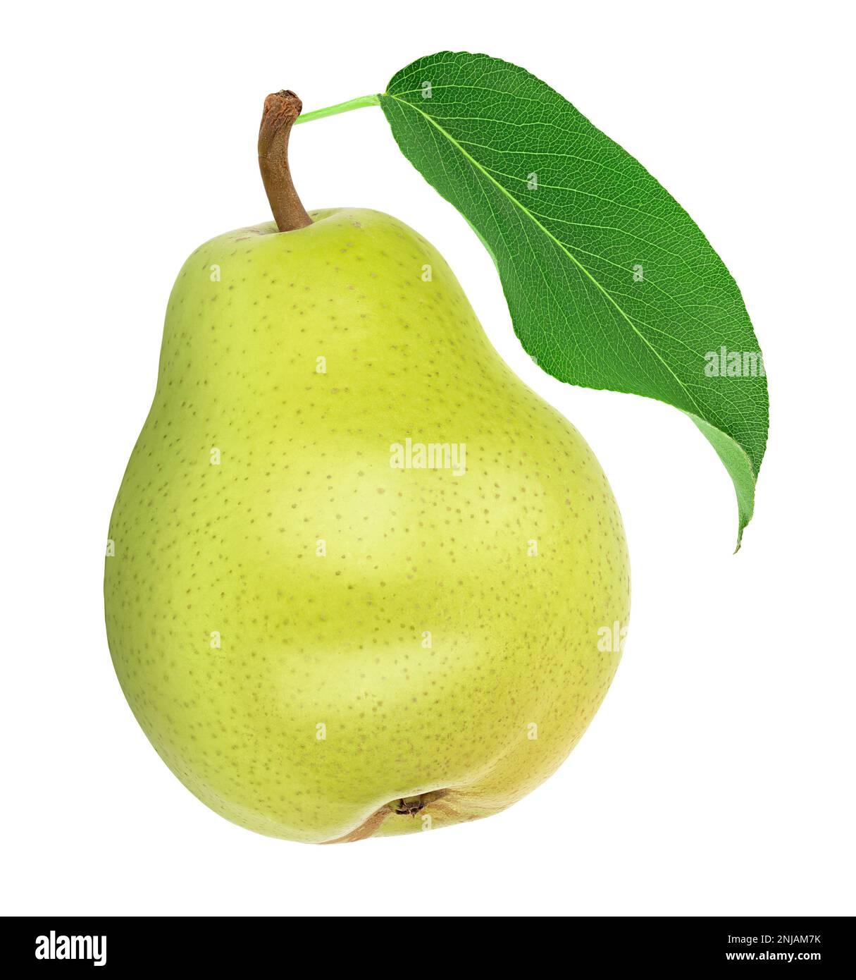 Green pear fruit isolated on white background with clipping path and ...