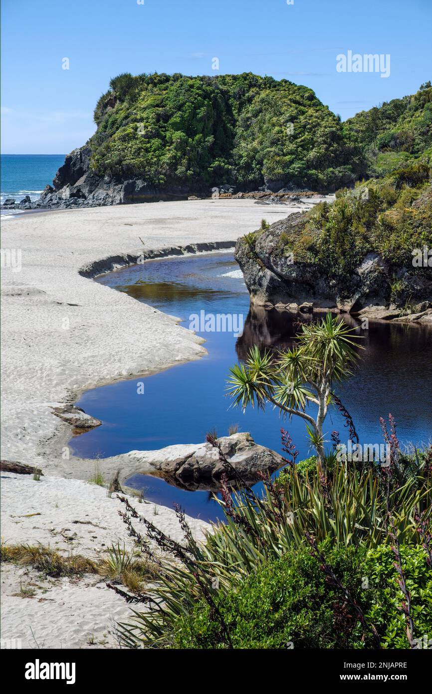 Ship Creek, near Haast, South Island, New Zealand Stock Photo - Alamy