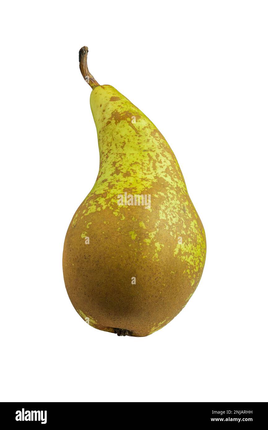 One single conference pear isolated on white background Stock Photo - Alamy