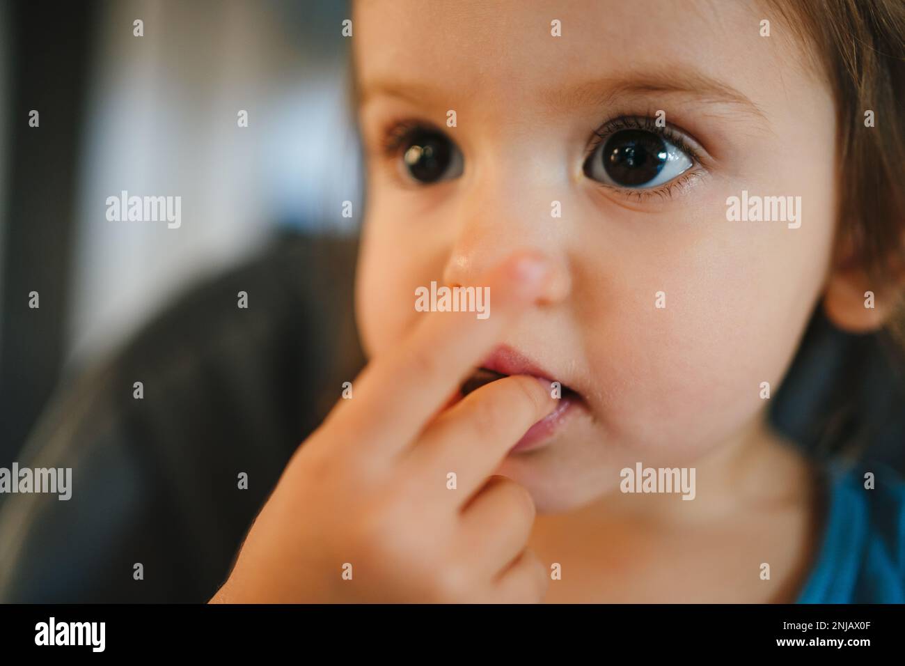 Close-up portrait of a baby girl sitting at table in highchair and eats ...