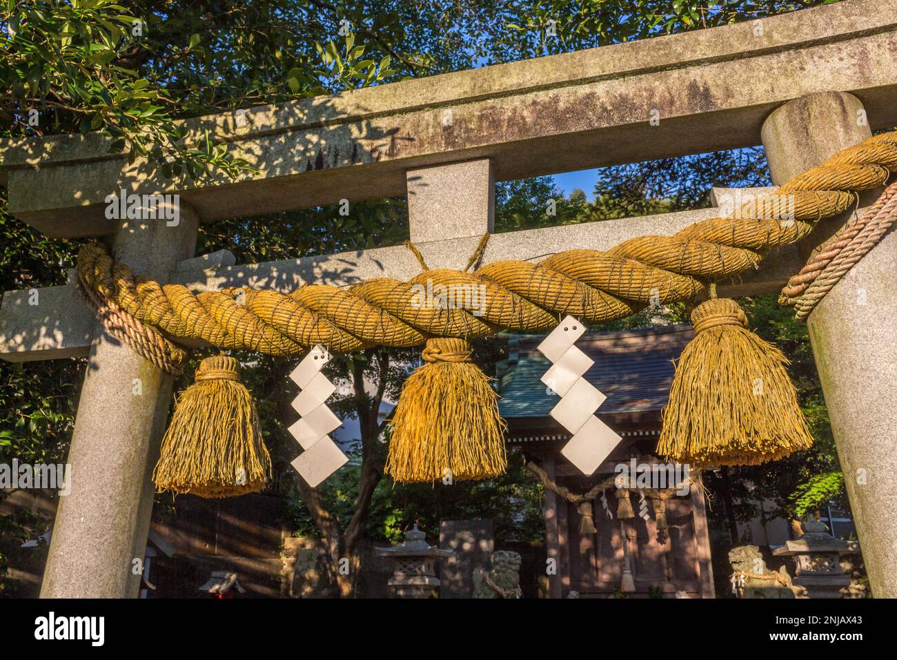 Sacred rope, or shimenawa, and zigzag streamers, or shide, on torii ...