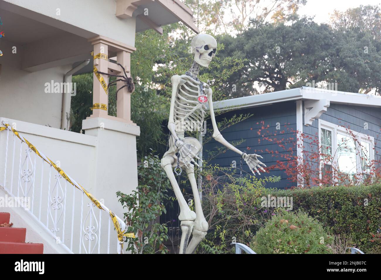 Skeleton hanging hi-res stock photography and images - Alamy