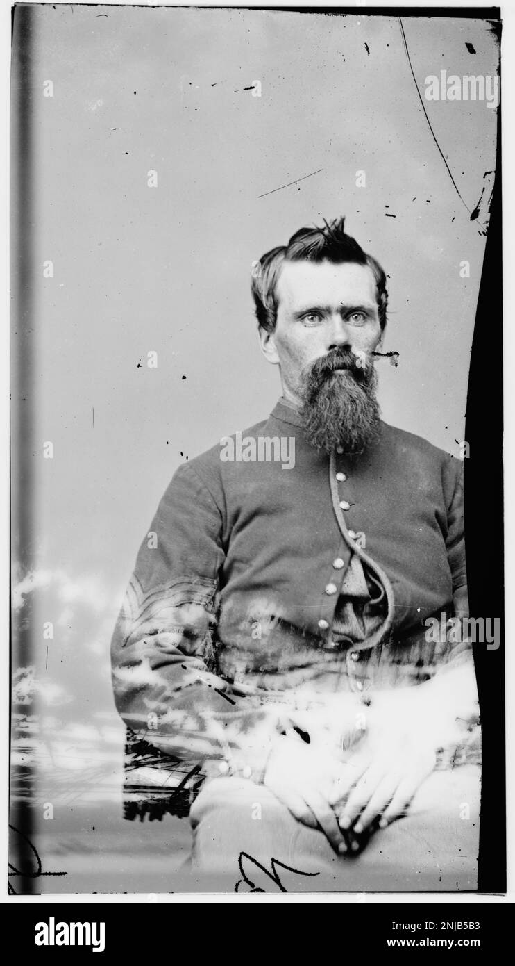 Portrait of Colonel Brown, a U.S. Army officer, preserved in the Brady ...