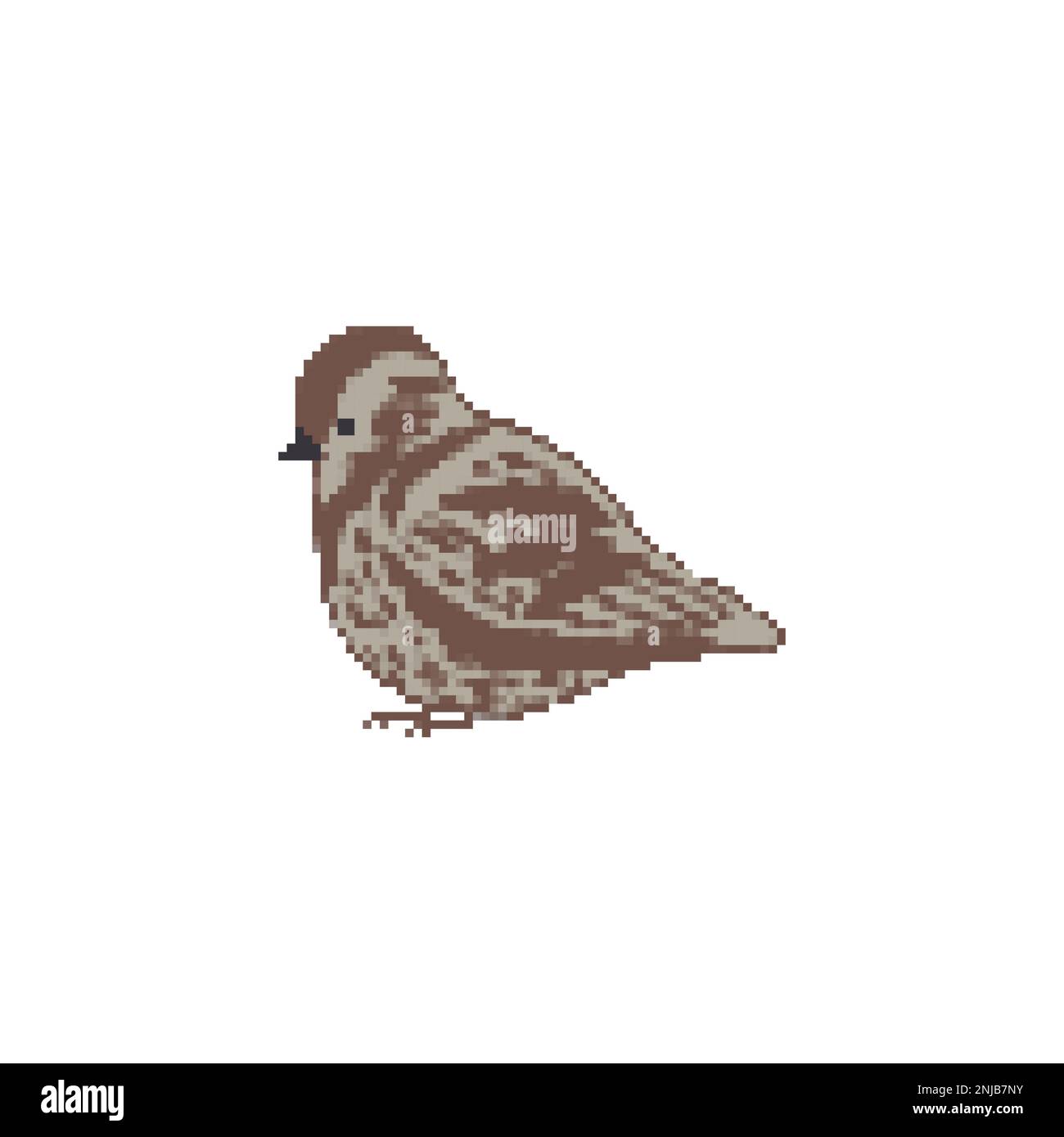 Sparrow pixel art. 8 bit Small bird. Vector illustration Stock Vector ...