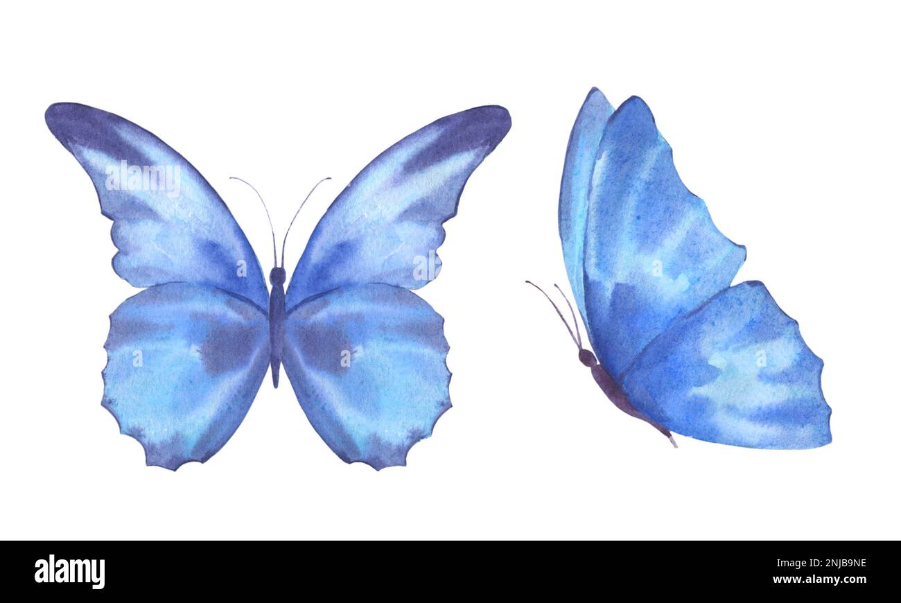 A set of delicate cute blue butterflies. Watercolor illustration ...