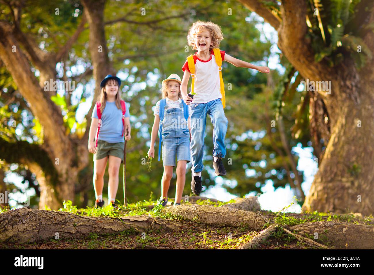Kids explore nature. Children hike in sunny summer park. Scout club and ...