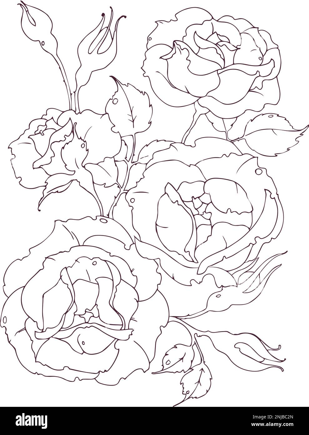 Pink line art flowers Stock Vector Images - Alamy