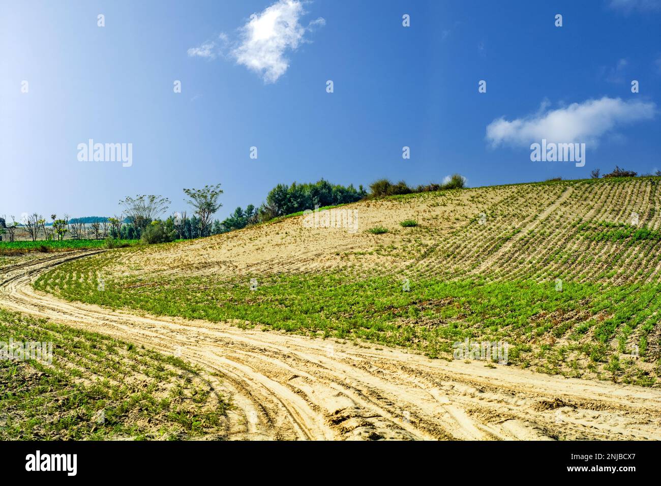 Green farmland desert hi-res stock photography and images - Alamy