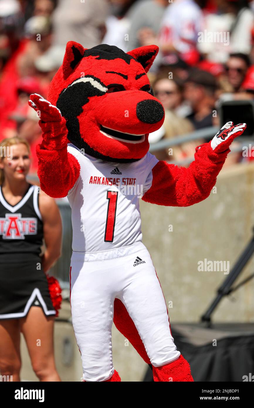 COLUMBUS OH SEPTEMBER 10 Arkansas State Red Wolves mascot Howl on the sideline during the second quarter of the college football game between the Arkansas State Red Wolves and Ohio State