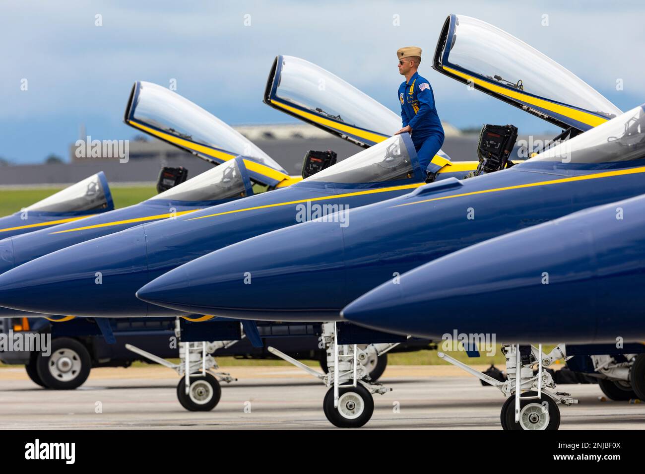 A pilot with the Blue Angels flight demonstration squadron of the ...