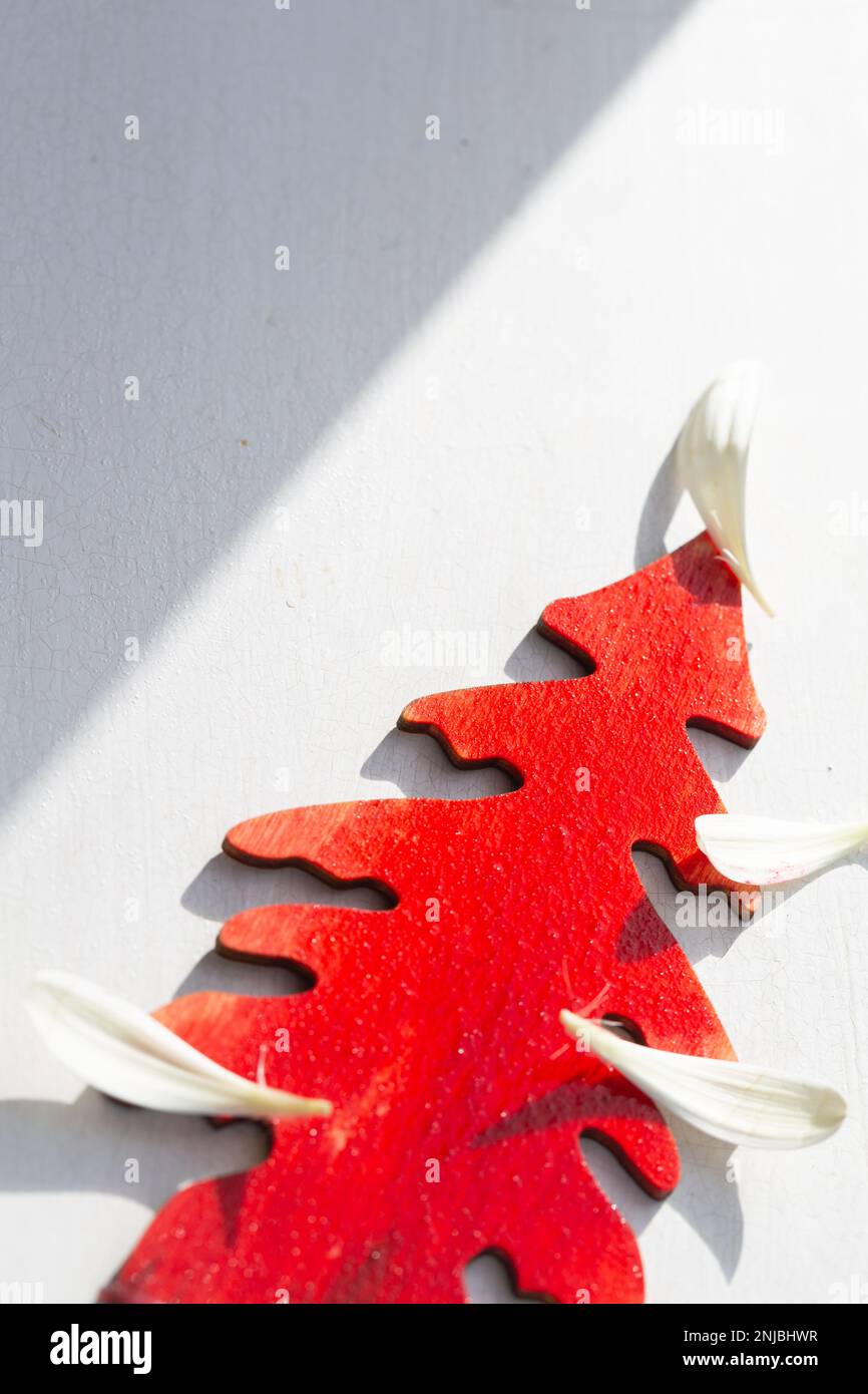 Conceptual 'Little Rocket Ship' - Vertical style - Close up of a fir ...