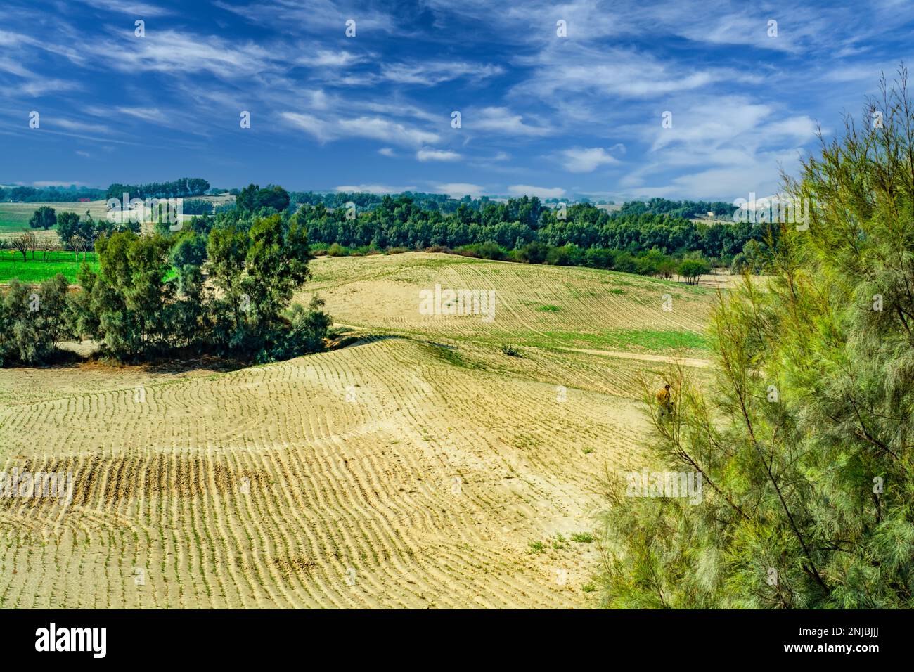 Agricultural landscape in the thar desert Stock Photo - Alamy