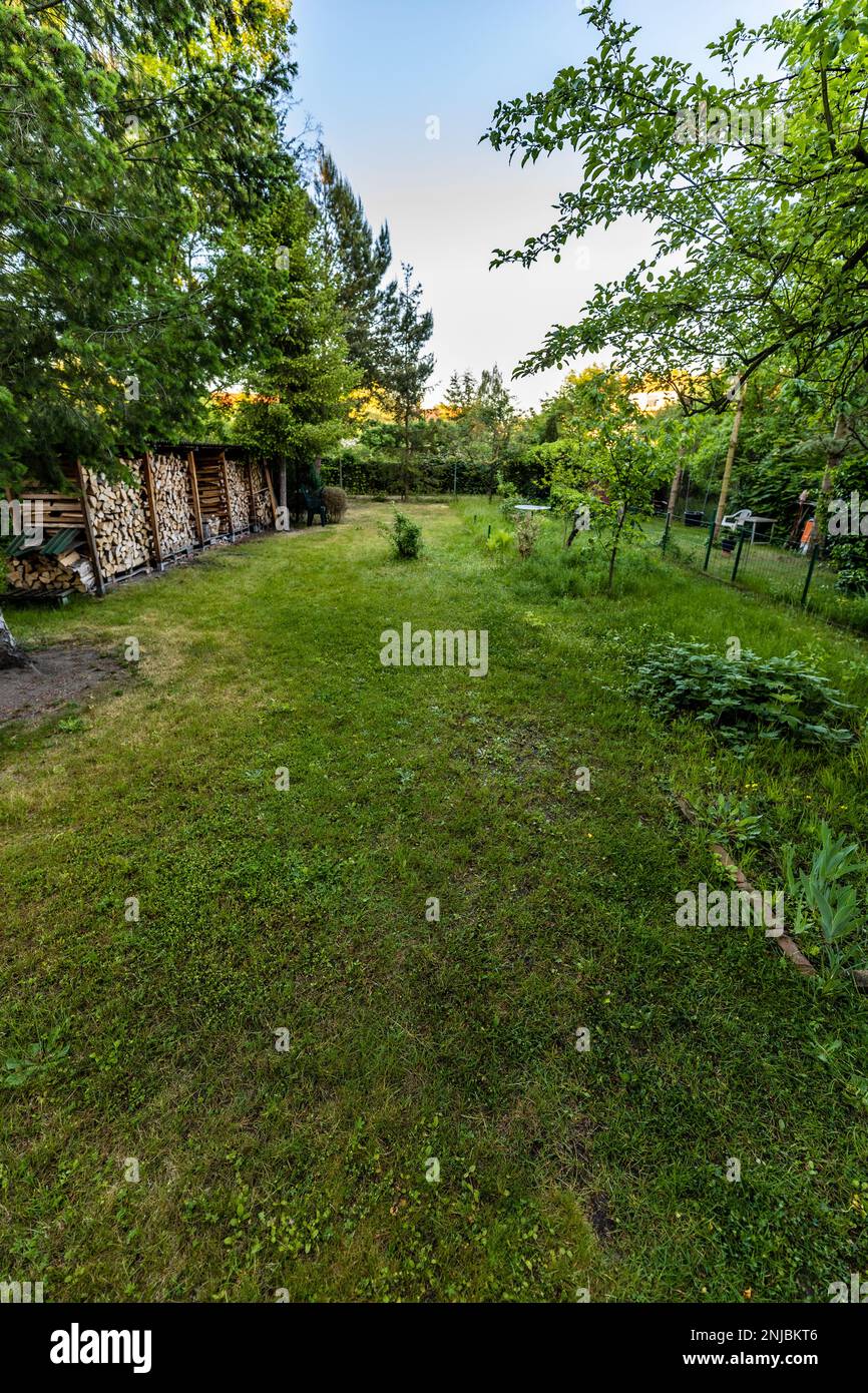 Beautiful big green garden behind the house, full of bushes small trees ...