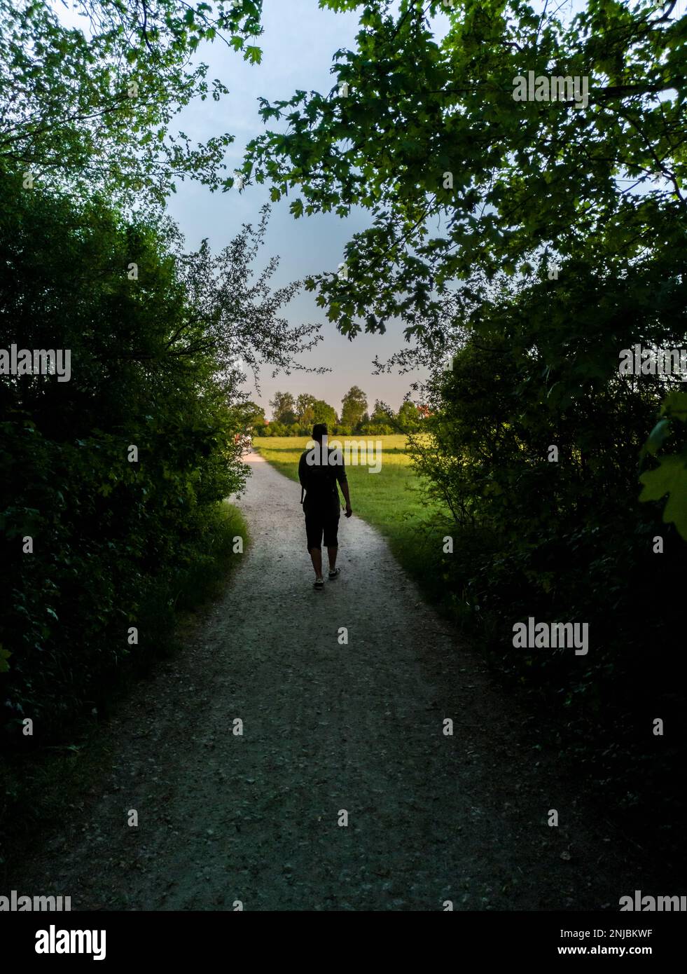 Alone man walking through small stony path between dark bushes and ...