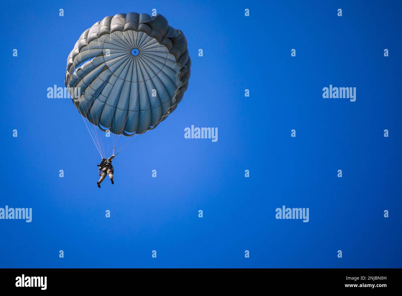 A group of U.S. Army Paratroopers and International Paratroopers ...