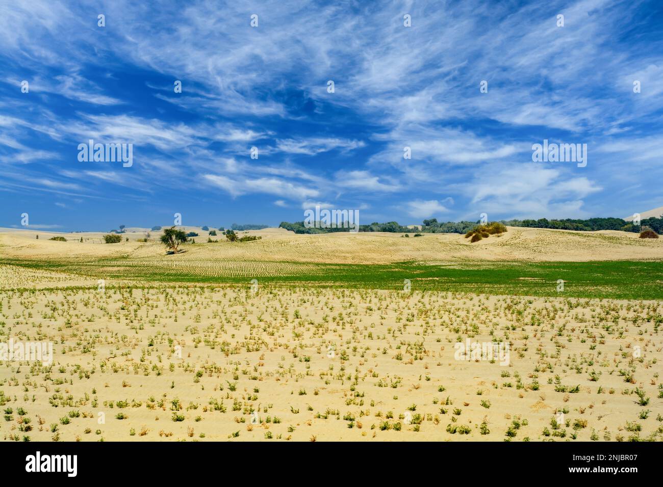 Gram pulses hi-res stock photography and images - Alamy