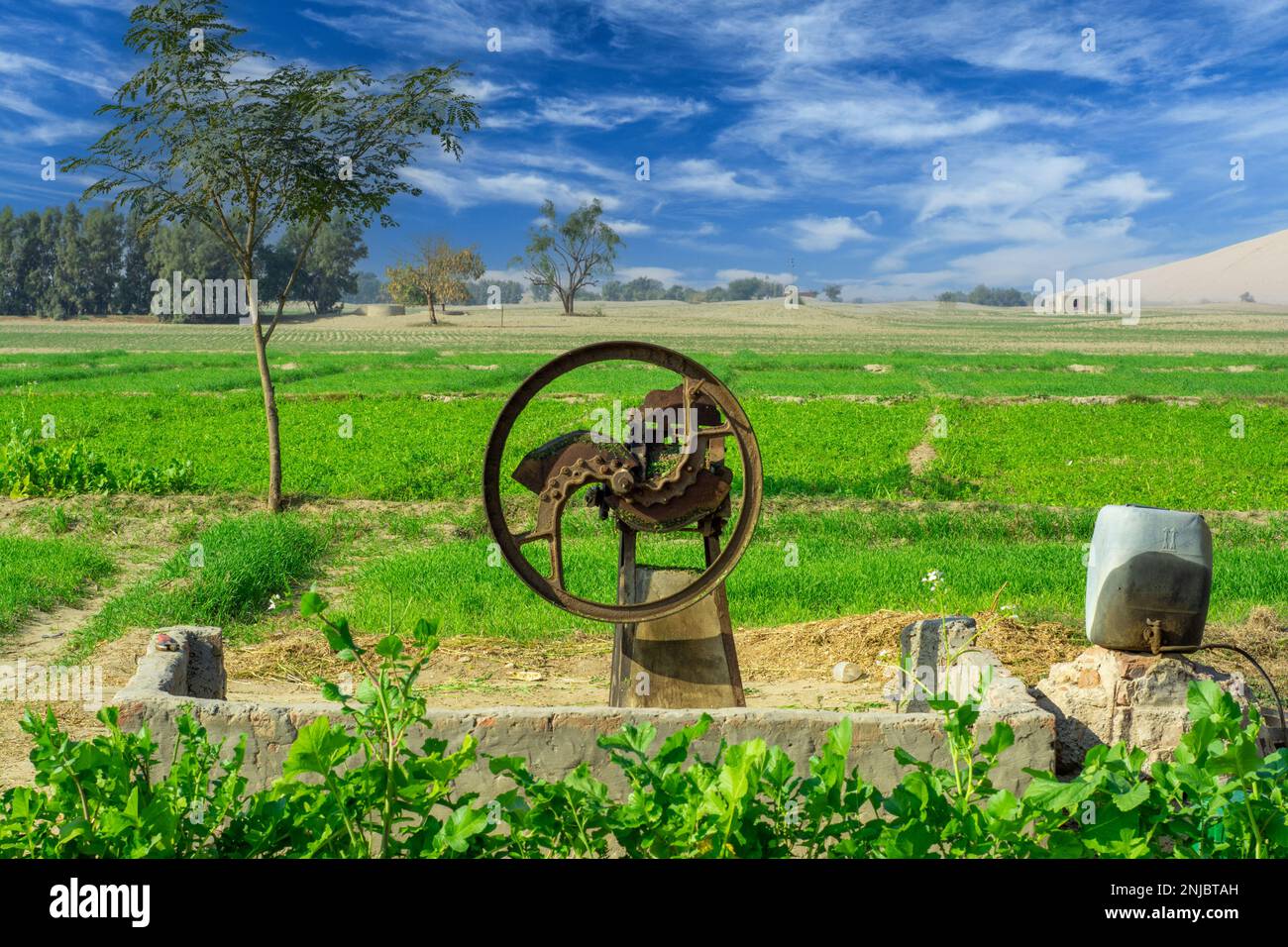 Classic manual grass chopper machine for the livestock in the desert ...