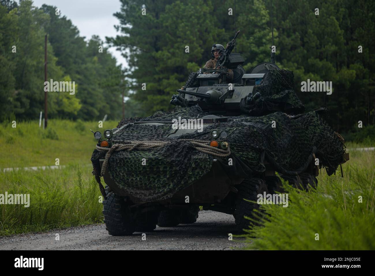 U.S. Marines with 2d Light Armored Reconnaissance Battalion (LAR), 2d ...