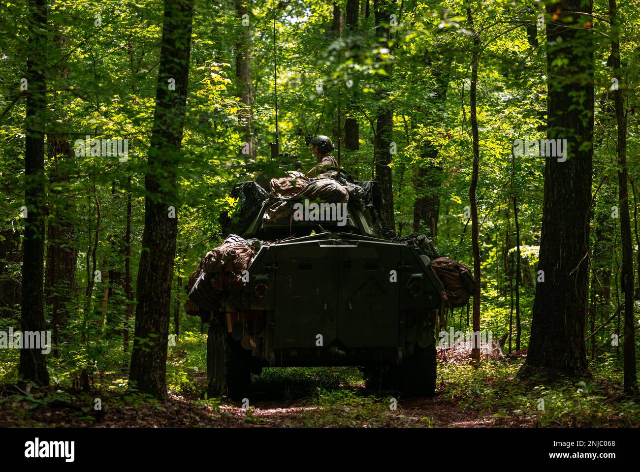 U.S. Marines with 2d Light Armored Reconnaissance Battalion (LAR), 2d ...