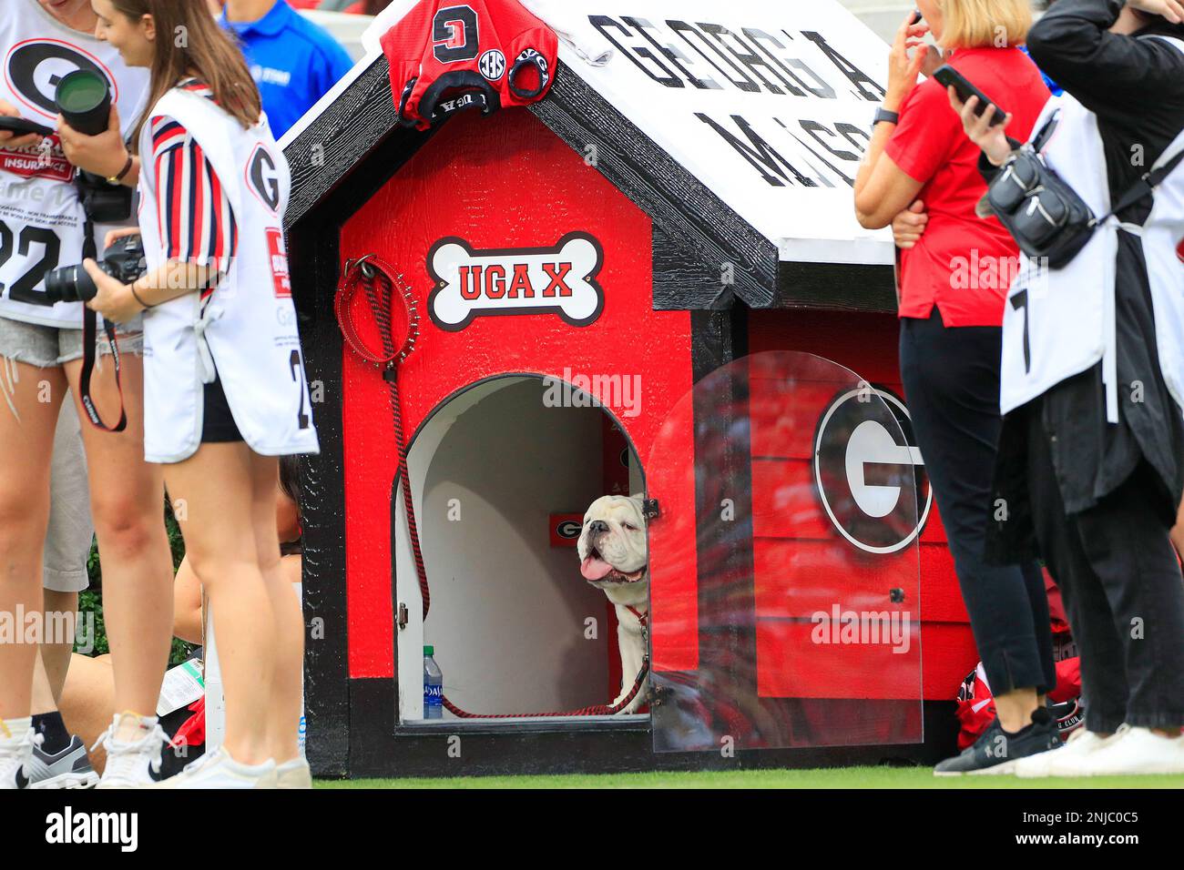 ATHENS, GA - SEPTEMBER 10: Georgia mascot UGA X chills out in his ...