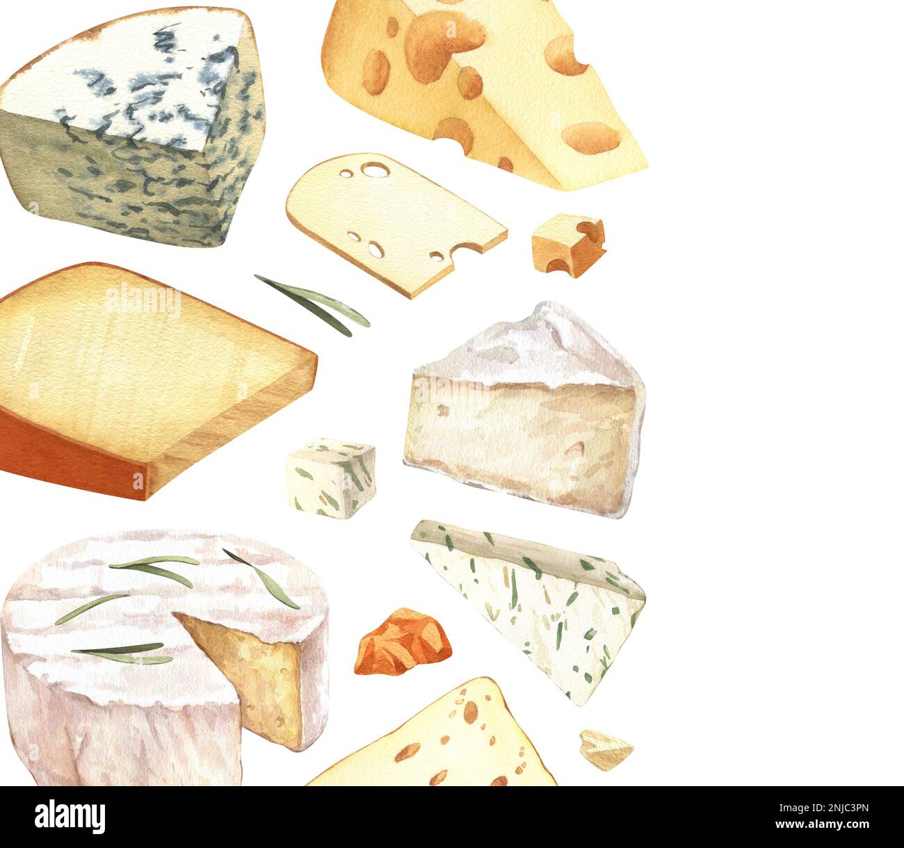 Watercolor different cheese frame template. Hand draw card background ...