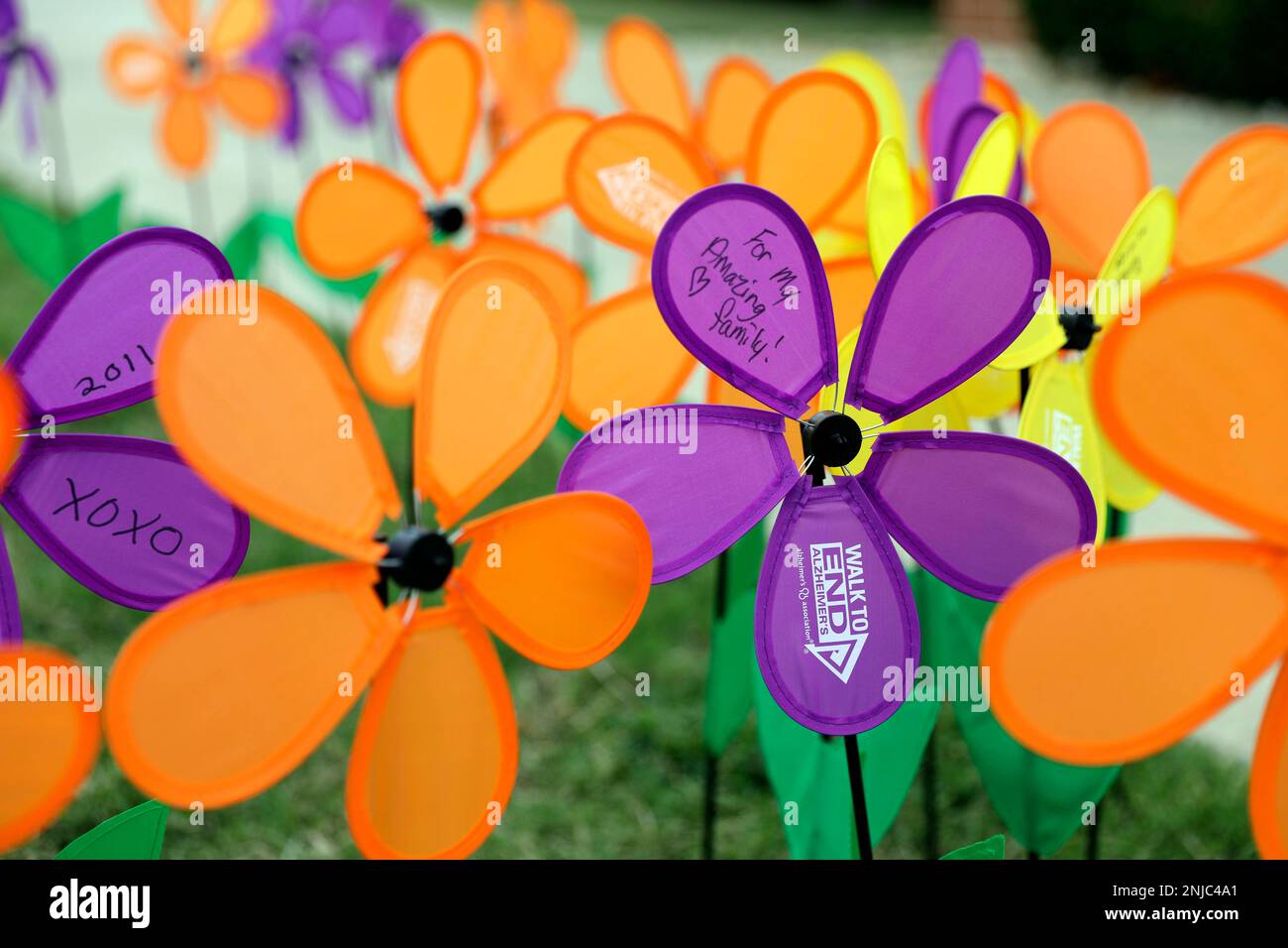 Promise Garden flowers representing each person's connection to ...