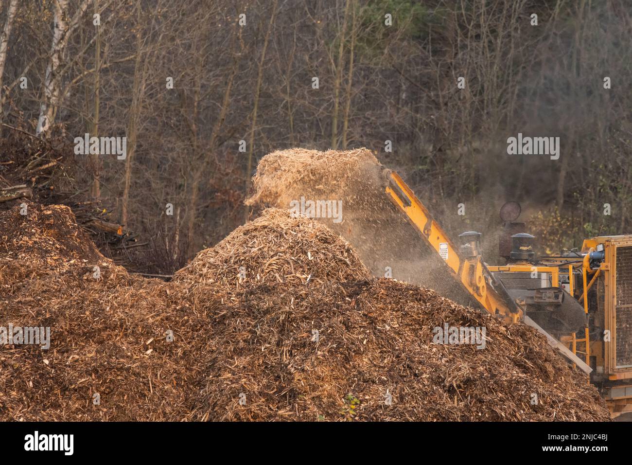 Gothenburg, Sweden - november 10 2022: Wood chips dumped in a pile by a large industrial wood ...