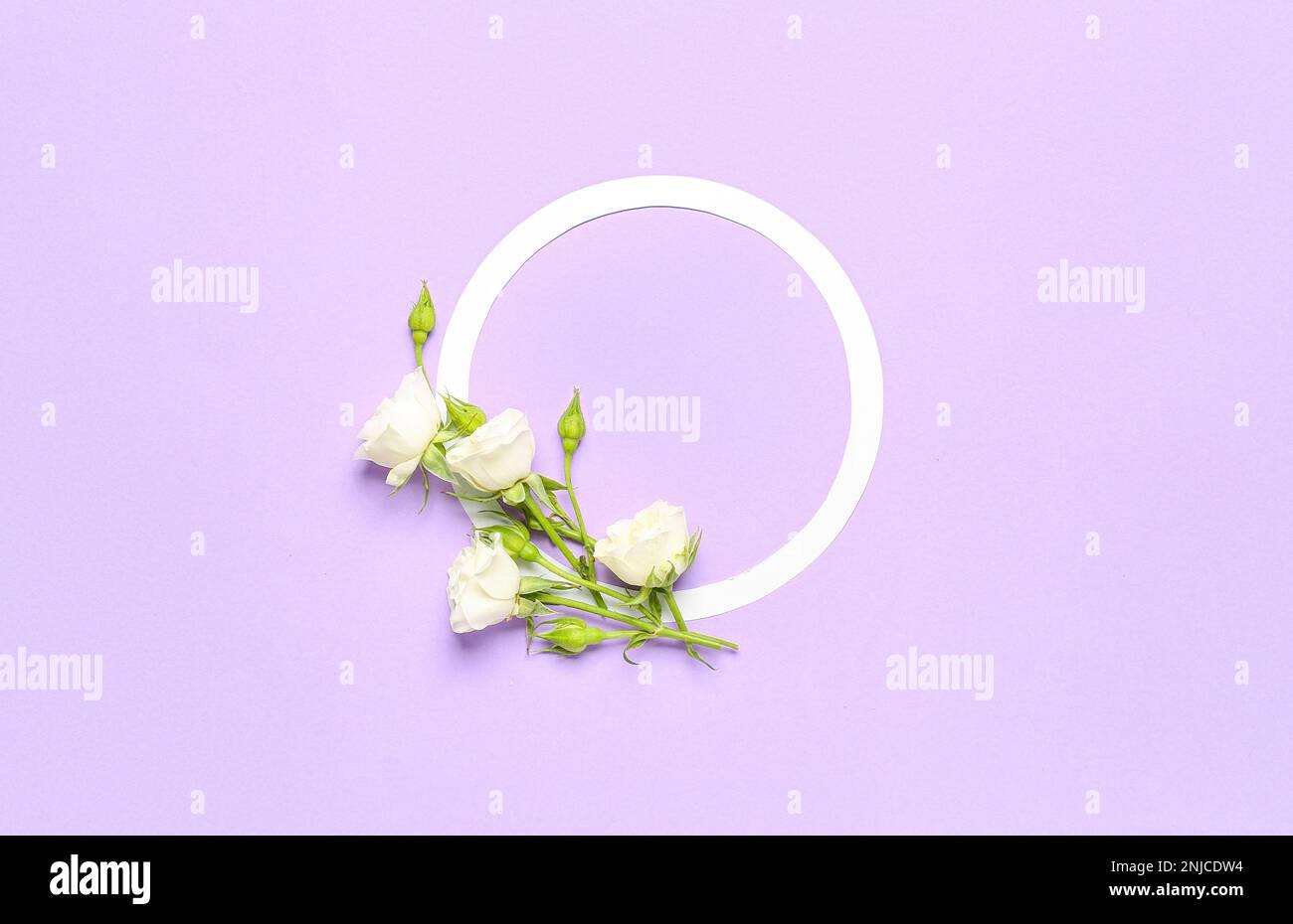 Blank round frame and beautiful eustoma flowers on lilac background ...