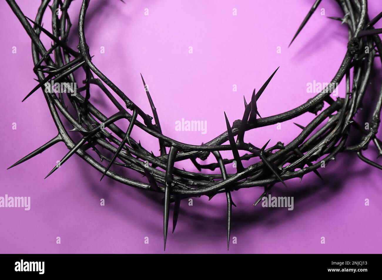 Crown of thorns on purple background, closeup Stock Photo - Alamy