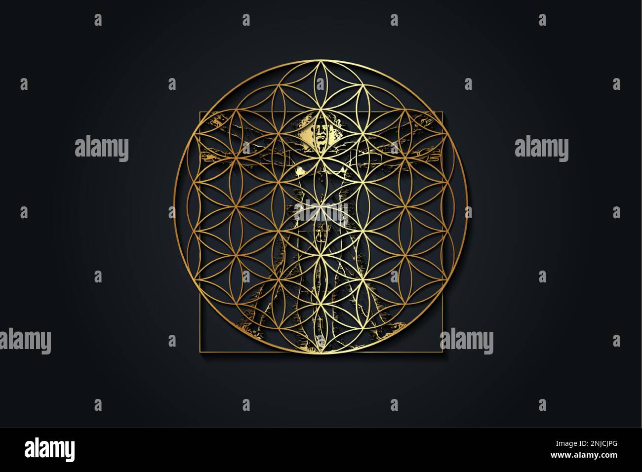 Flower of Life on Vitruvian Man by Leonardo Da Vinci - Sacred Geometry ...