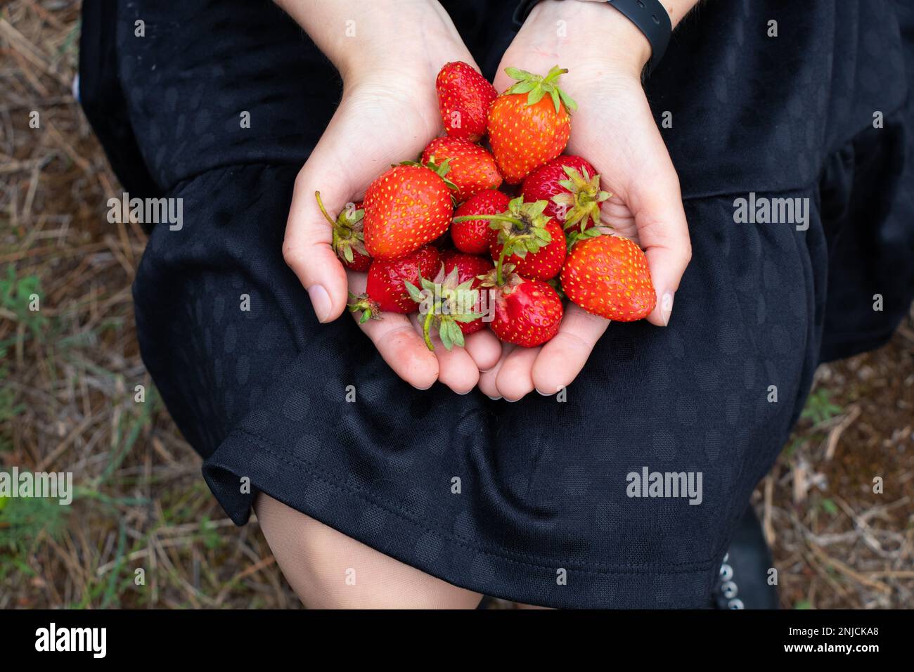 Female hands hold young hi-res stock photography and images - Alamy