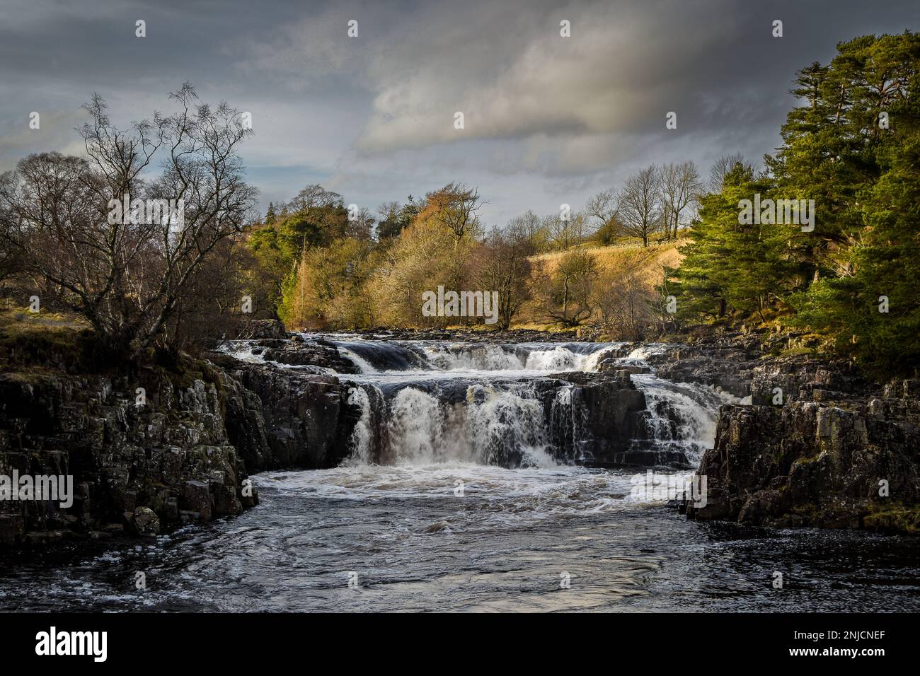 Alan ralph hi-res stock photography and images - Alamy