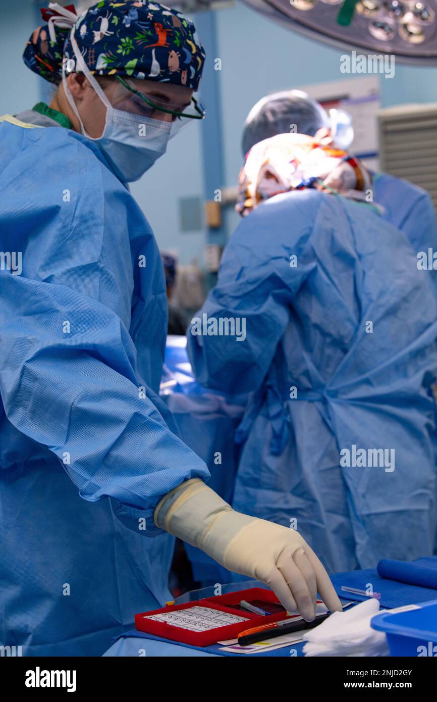 PUERTO PRINCESA, Philippines (Aug. 6, 2022) – Hospital Corpsman Kelsey ...