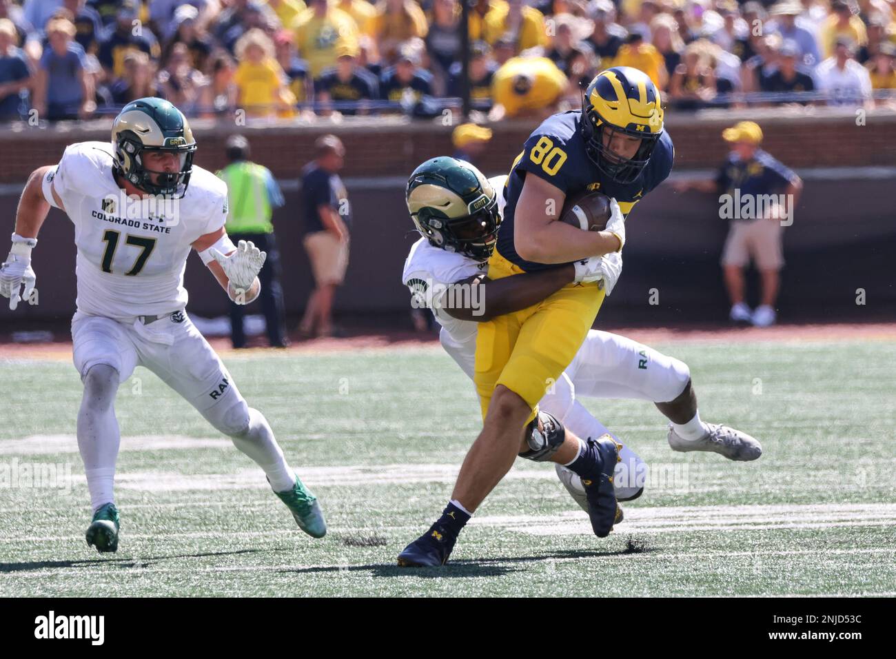 ANN ARBOR, MI - SEPTEMBER 03: Michigan Wolverines tight end Hunter Neff ...
