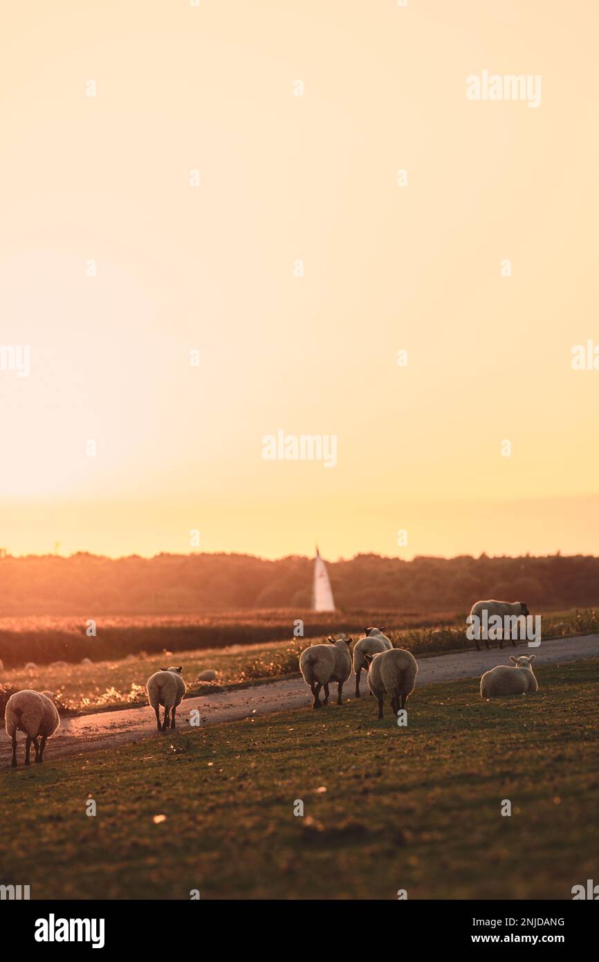 Beautiful sunset on the dike hi-res stock photography and images - Alamy