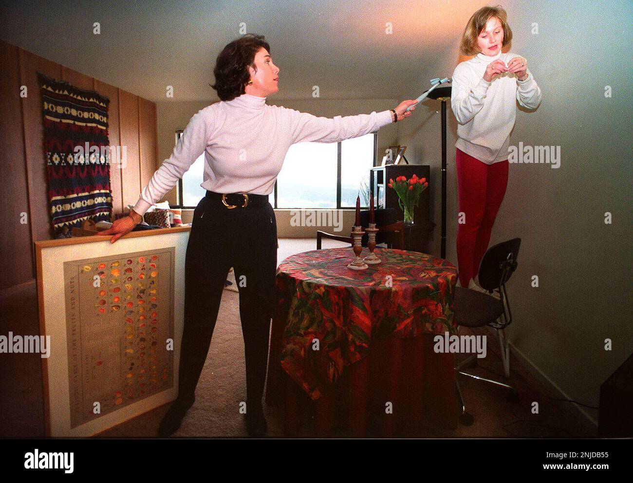 CHRONICLE 02/02/94 // MICHELLE QUICK & SUZANNE ROTH-PAUL OF THEIR ...