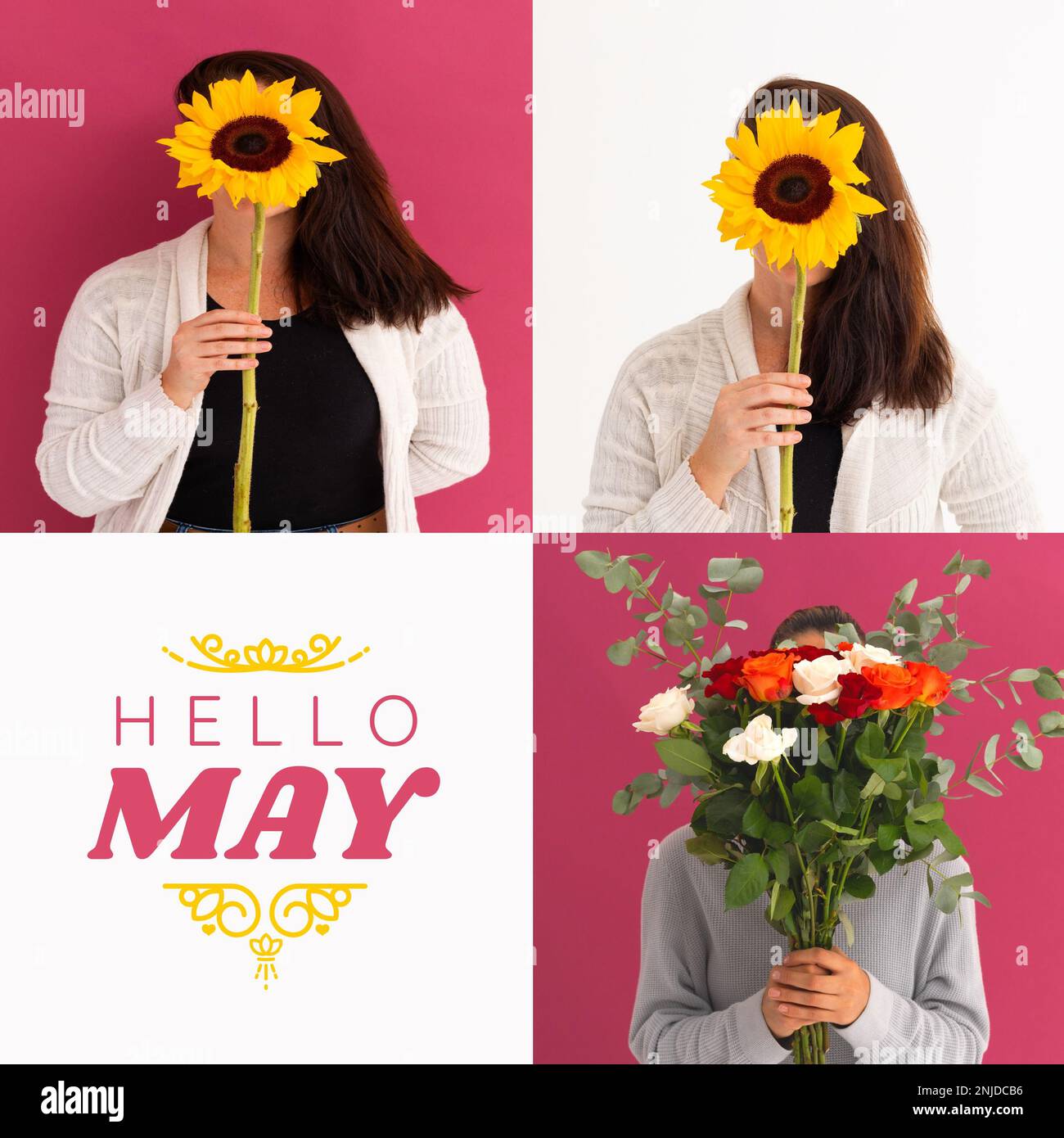 Sunflowers animation hi-res stock photography and images - Alamy