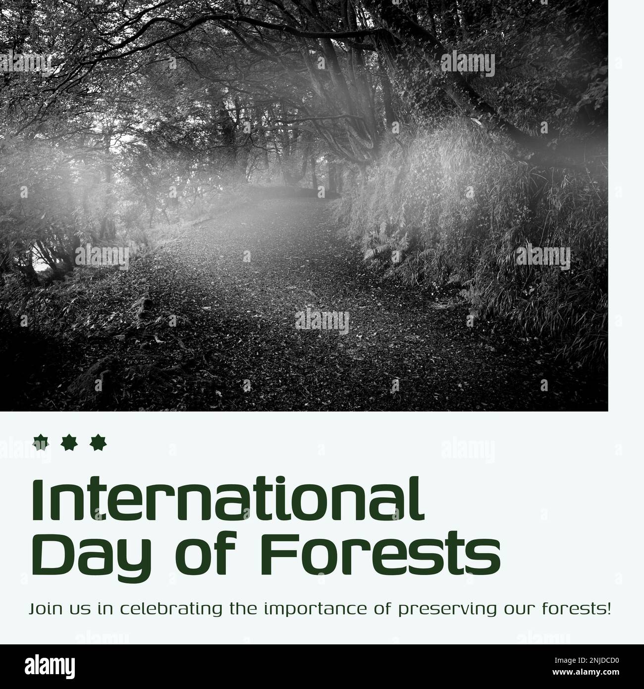 Composition of international day of forest text and trees ...