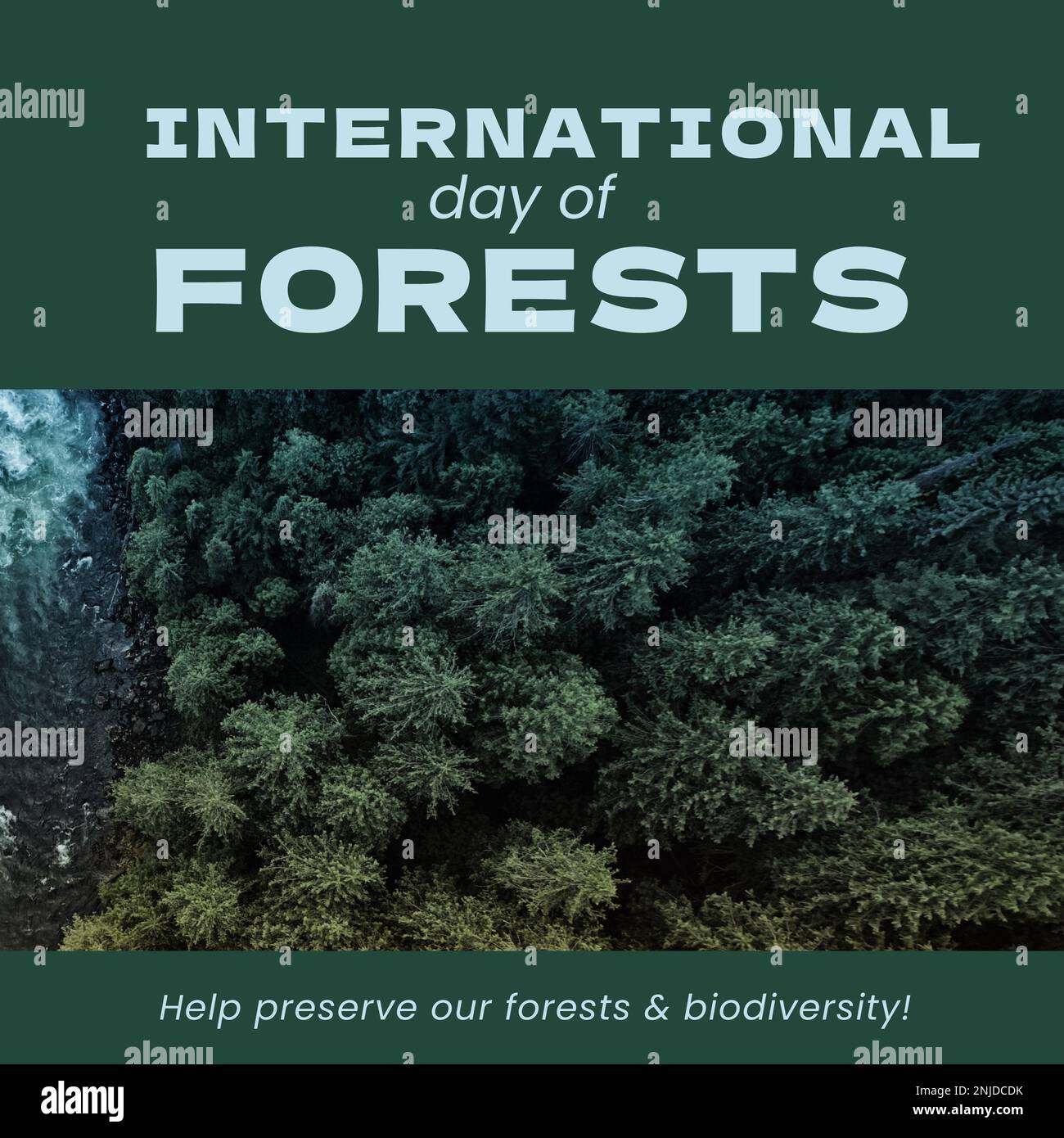 Composition of international day of forests text and trees ...
