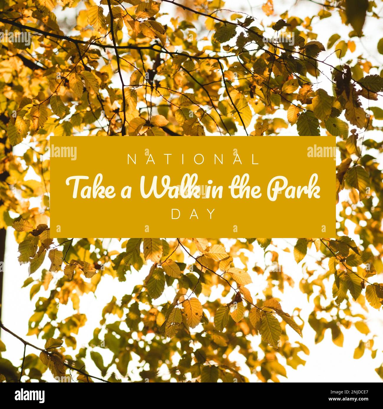 Composition of national take a walk in the park day text over leaves ...