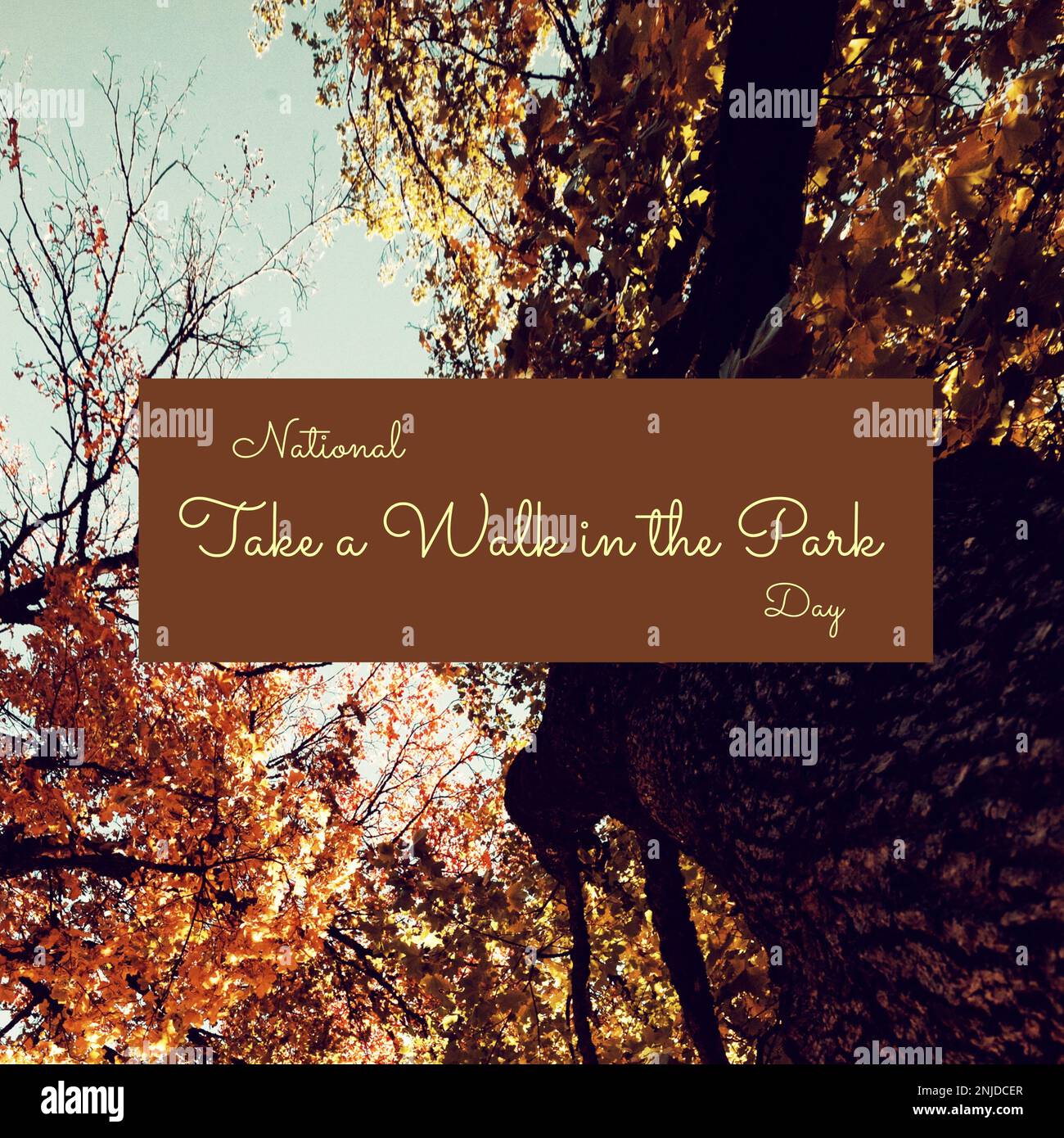 Composite of national take a walk in the park day text in brown ...